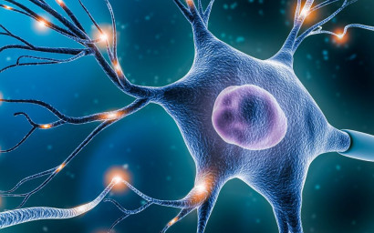 Eroxon® Stimgel – A clinically proven treatment for erectile ...